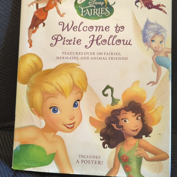 Disney Book | Other | Welcome To Pixie Hollow Disney Fairies By Disney Book Group Calliope Glass ...